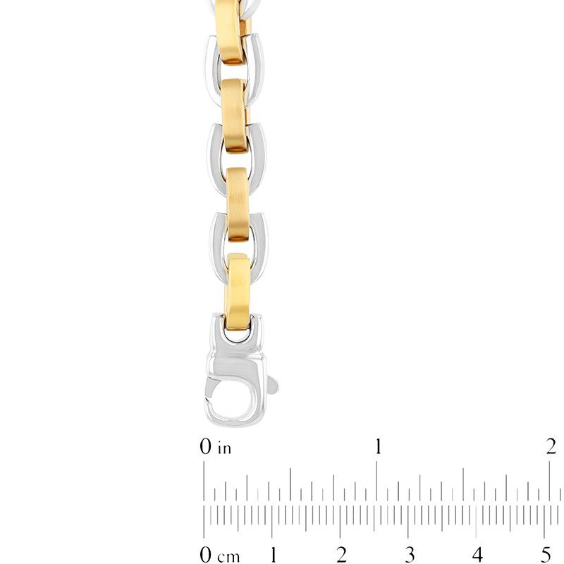 Stainless Steel With Yellow IP Horseshoe Link Fashion Chain - TS5790
